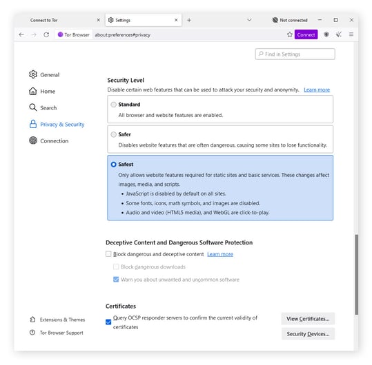 The Tor Network: A Guide to the Dark Web Browser