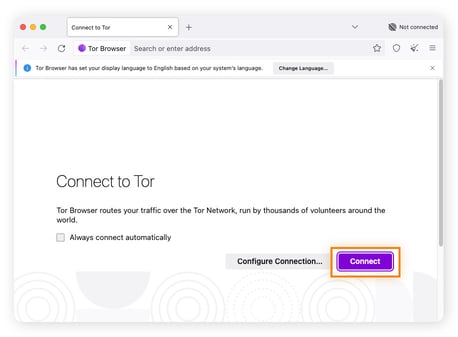 The Tor Network: A Guide to the Dark Web Browser